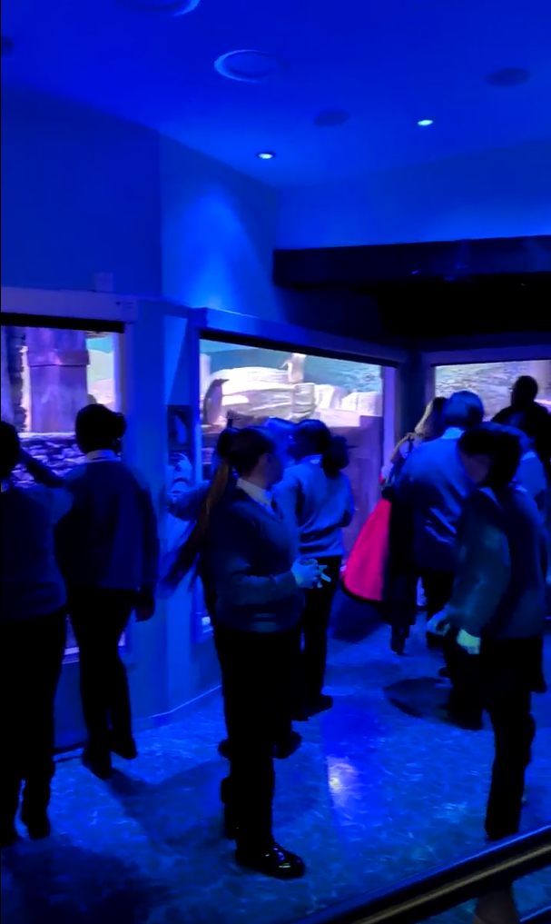 Cockburn John Charles Pupils Dive into Learning at The Deep - News Blog ...